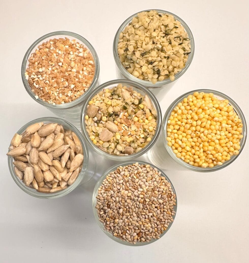 Formulation | Genbo Excelsior Foods
